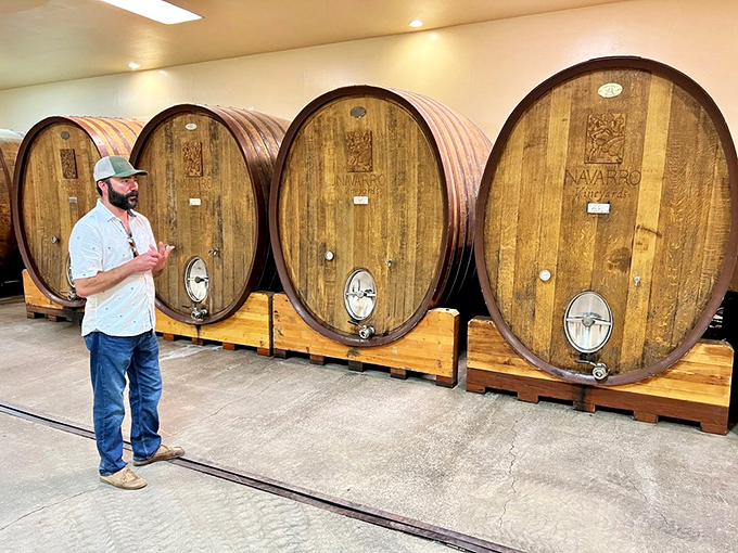 Massive oak barrels await their starring role &ndash; silent sentinels guarding liquid treasures that improve with every passing day.