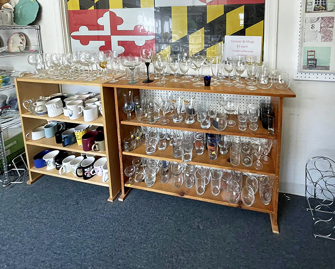 Maryland pride meets practical glassware! That state flag backdrop adds local flavor to this impressive collection of cups, mugs, and goblets.
