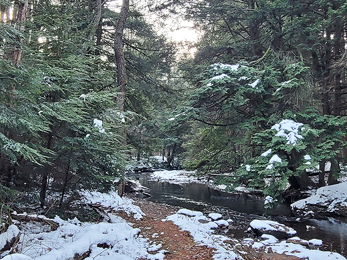 Winter transforms Clear Creek into a hushed wonderland where the only status updates are fresh animal tracks in pristine snow.