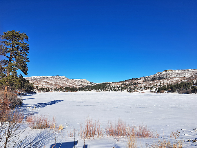 Winter transforms Lake Maloya into a frozen wonderland. Like walking into Narnia, minus the talking animals and evil queen.