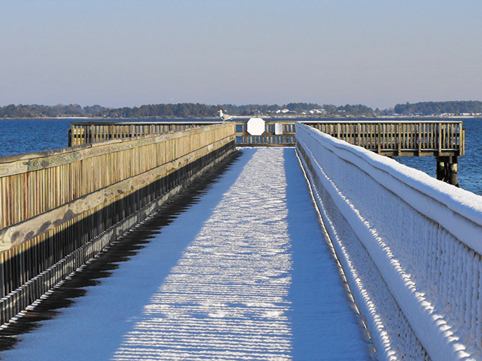 Winter transforms the pier into a frosted pathway through Delaware's most serene coastal landscape.