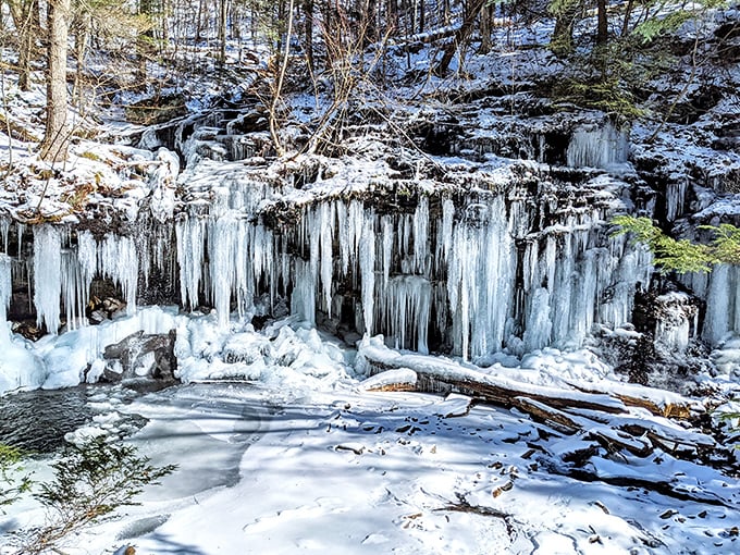 Winter transforms waterfalls into frozen masterpieces that would make ice sculptors jealous. Nature's version of performance art that changes daily.