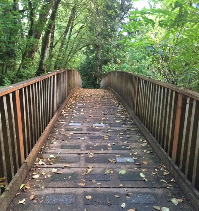 This humble footbridge has carried thousands of happy feet toward adventures that become family legends. Nature's red carpet.