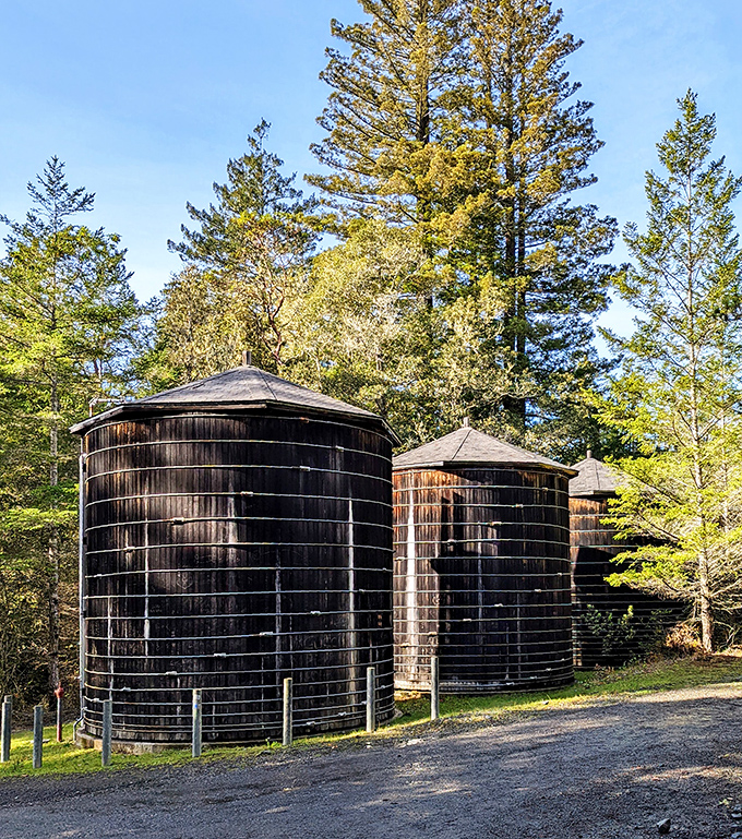 Not your average water towers. These historic wooden tanks stand as silent witnesses to Salt Point's fascinating industrial heritage.