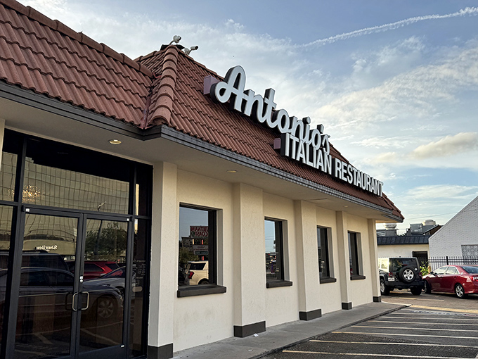Antonio's Flying Pizza's vintage sign promises old-school Italian-American comfort. Houston's pizza history written in neon.