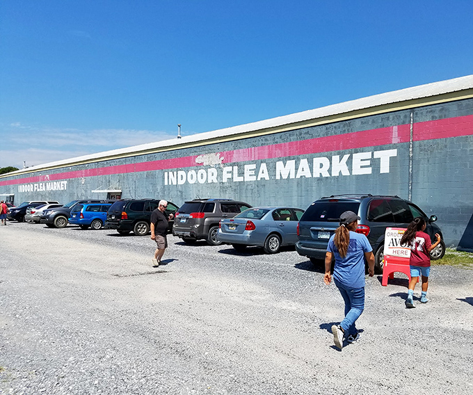 Big D's industrial charm hides a world of wonders. This unassuming building houses enough treasures to fill your trunk several times over.