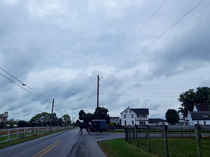 Bird-in-Hand's pastoral scenes prove that some places are too beautiful to be anything but real.
