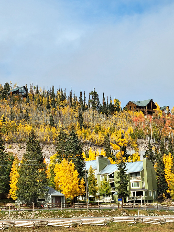 Brian Head's mountain vista stretches endlessly, like standing on top of the world with room service.