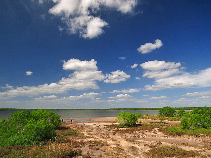 Colorful murals transform ordinary walls into extraordinary canvases celebrating community spirit and local artistic talent.