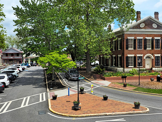Dahlonega's historic district showcases classic Southern architecture, where brick buildings and leafy trees create a postcard-perfect setting for affordable living.