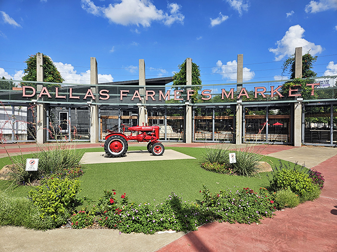 Food stand heaven! Colorful tents and signs promise delicious treats like elotes, nachos, and other border town delicacies.