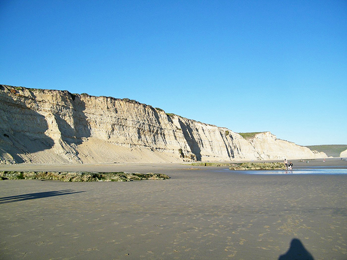 White cliffs tower over Drakes Beach like California's answer to Dover, creating a stunning backdrop for beachcombers.