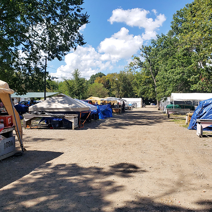 Tree-lined pathways between vendor tents transform bargain hunting into a pleasant outdoor stroll.