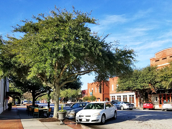 Tree-lined streets and historic buildings create Hartsville's distinctive character, where affordable living doesn't sacrifice charm.