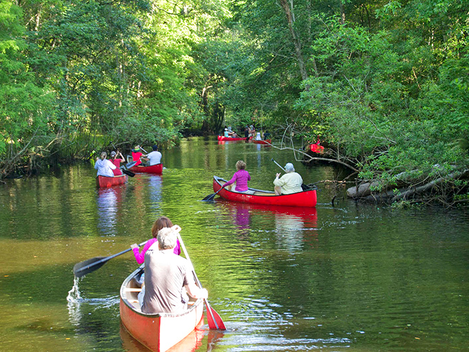 Paddle on, adventurer! There&rsquo;s something magical about drifting through calm waters framed by whispering green trees.