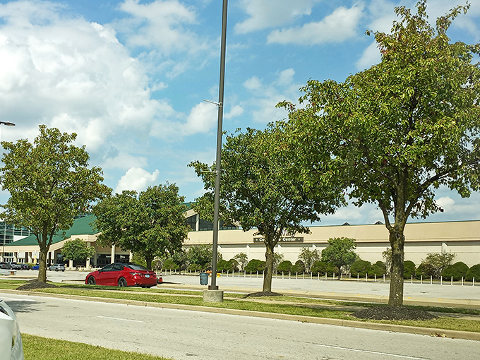 Tree-lined streets lead to shopping opportunities, where suburban tranquility meets the thrill of treasure discovery.