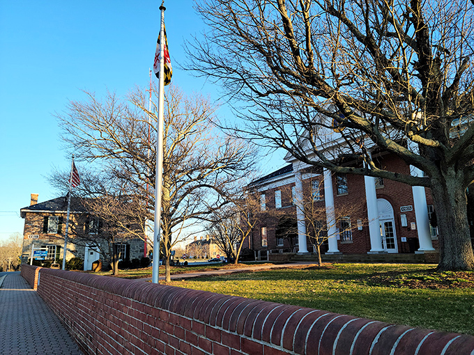 Courthouse dignity anchors this county seat where civic pride meets small-town Southern hospitality perfectly.