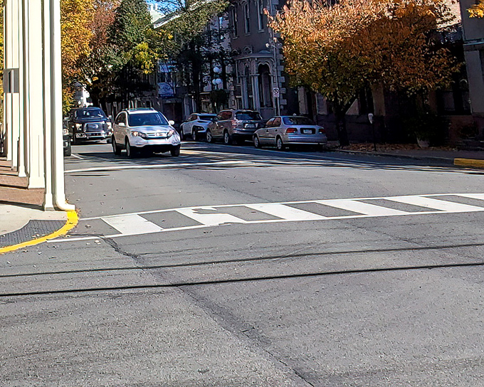 Tree-lined streets so inviting they make you forget what rush hour even means anymore.