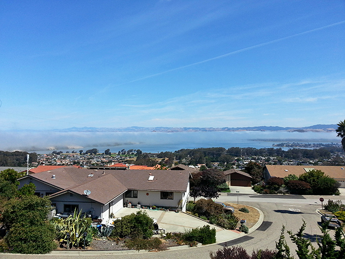 Los Osos spreads peacefully across rolling hills, where residential tranquility meets some of California's most dramatic coastline.