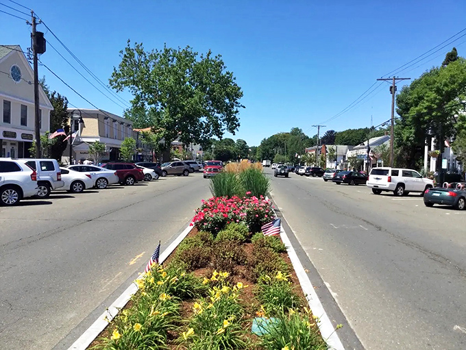 Madison's downtown blooms with flowers that would make any gardener green with envy and pride.