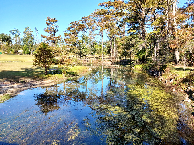 Marianna's park offers peaceful green space in the heart of town. Sometimes the best amenities in life really are free.