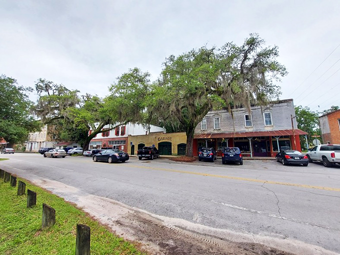 Micanopy's moss-draped oaks stand sentinel over historic buildings where time moves at the pace of a lazy summer afternoon.