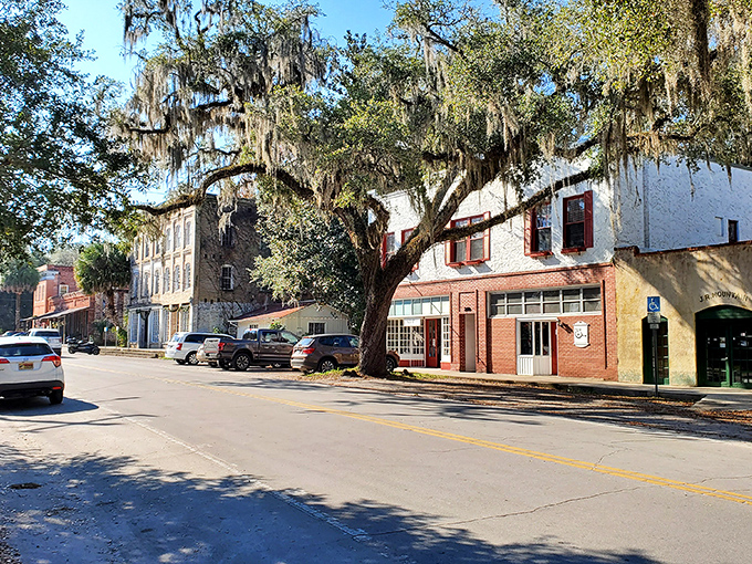 Spanish moss drapes these ancient oaks like nature's own decorations, framing the historic streetscape perfectly.