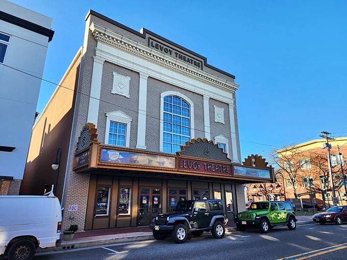 The Levoy Theatre's vintage marquee promises entertainment that won't require a second mortgage to enjoy.