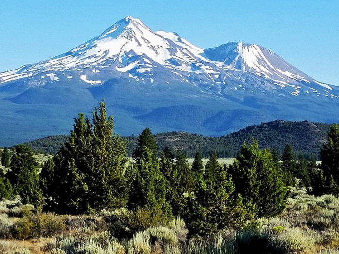 Mount Shasta towers majestically overhead, providing the world's most impressive backyard view for lucky residents.
