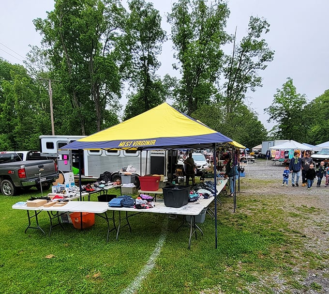 A blue and yellow West Virginia tent anchors this flea market scene&mdash;state pride and second-hand treasures unite!