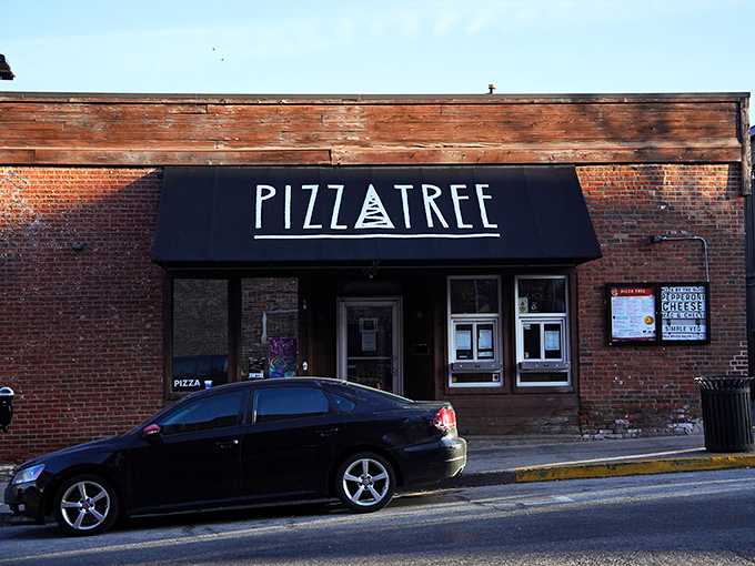 Pizza Tree's understated brick exterior is hipster-cool without trying too hard. Like that friend who's effortlessly stylish without showing off.