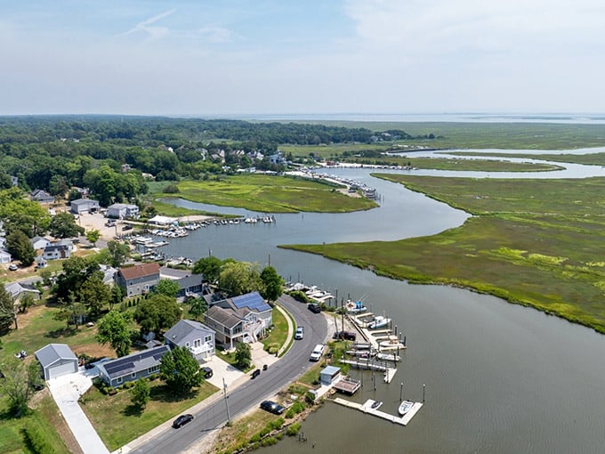 From this bird's-eye view, Pleasantville reveals itself as a community nestled among New Jersey's greenery.