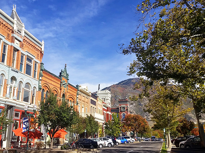 Provo's tree-lined streets showcase Utah's seasonal beauty. Even winter-bare branches frame the mountains with artistic precision.