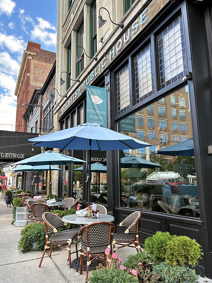 Rockfish's sleek downtown presence brings sophisticated coastal dining to the heart of historic York.