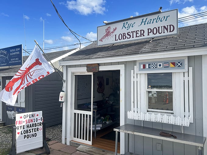 Rye Harbor Lobster Pound proves great things come in small packages. That tiny shack holds seafood secrets that five-star restaurants would kill to know.