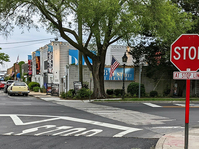 Sag Harbor's whaling heritage lives on through preserved streets that whisper tales of maritime adventures.