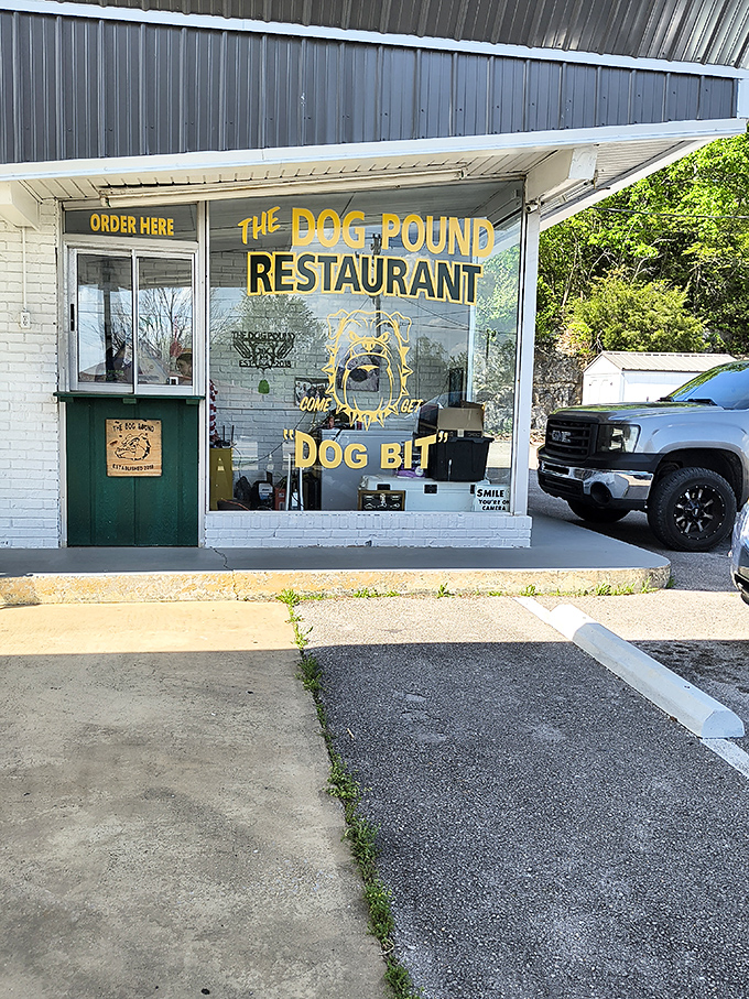 Classic roadside stand vibes meet modern hot dog excellence at this Cave City favorite spot.