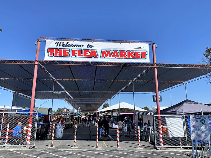"Welcome to THE FLEA MARKET" says it all - this is where serious treasure hunting begins.
