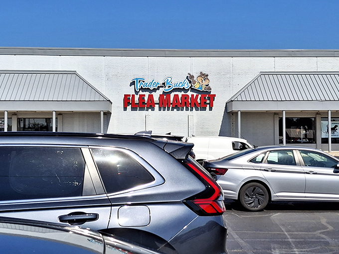 Trader Buck's cartoon mascot welcomes bargain hunters with a smile. The clean white building houses countless discoveries.