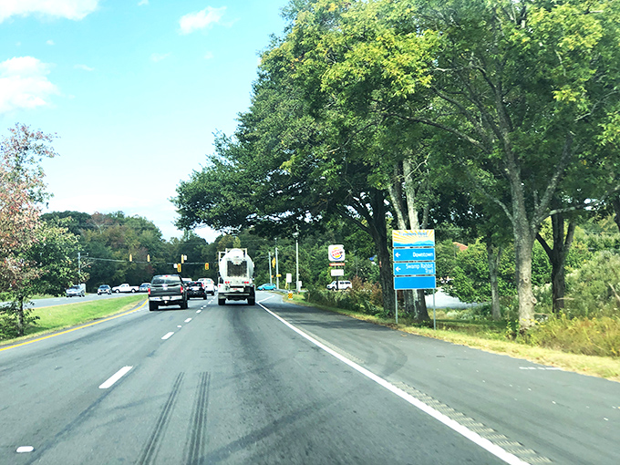 Travelers Rest's main street captures that "nestled in the mountains" feel perfectly.