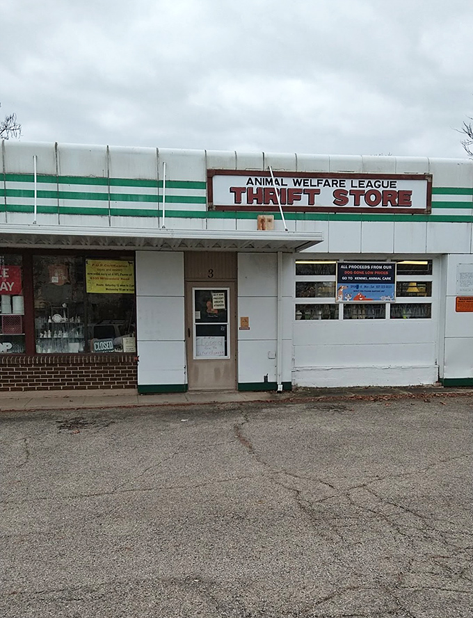 Animal Welfare League combines bargain hunting with helping furry friends - shopping with a conscience feels wonderful.