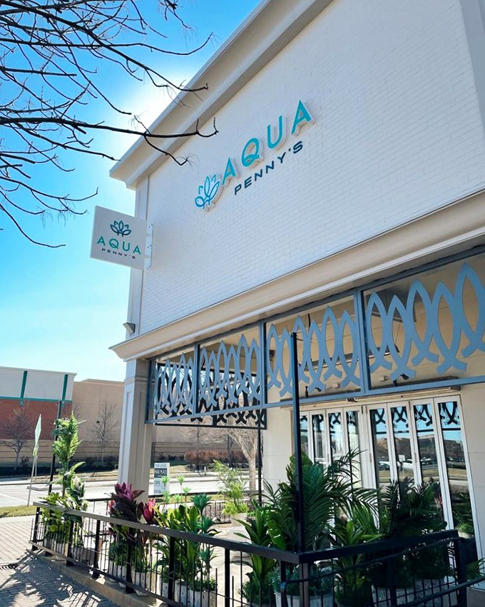 The tropical plants outside Aqua Penny's create an instant vacation mood &ndash; palm fronds waving "come in, the seafood's fine!"