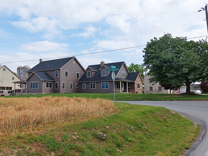 Pull over, friends, and smell the history! These old farmhouses stand proudly in the golden Lancaster County light.
