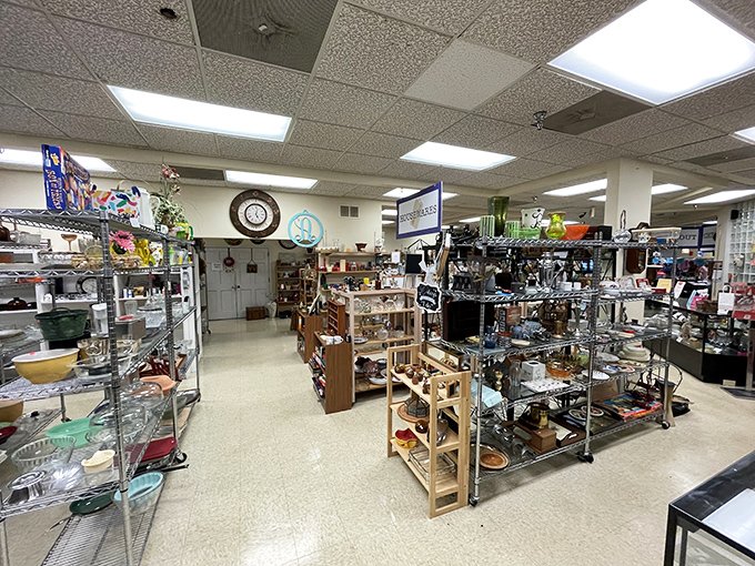 Organized sections and quality displays make browsing here feel like a curated shopping experience.