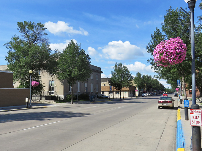 Crookston's wide main street, adorned with hanging flower baskets, welcomes visitors to a town where affordability blooms.