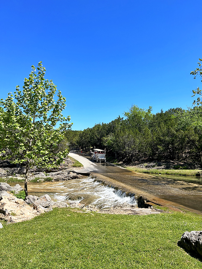 Natural limestone formations and crystal-clear pools create a geological playground that's both beautiful and refreshingly cool.
