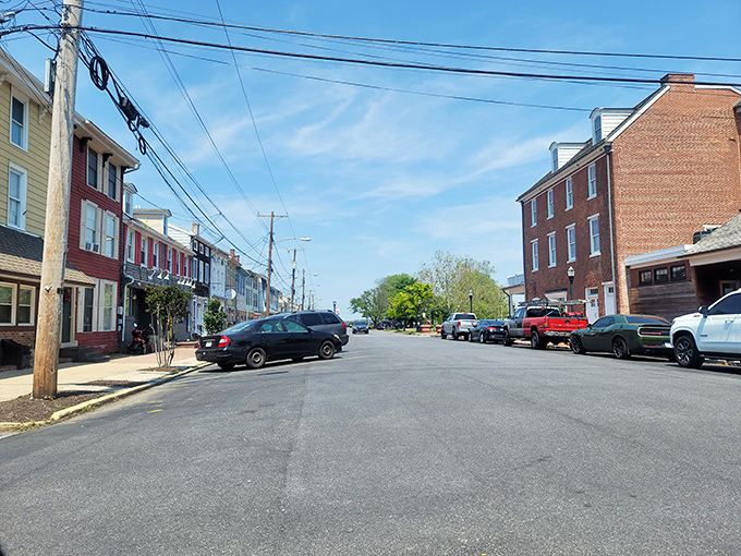 Rural Delaware stretches endlessly, where farmland meets sky in America's original slow-food movement paradise.