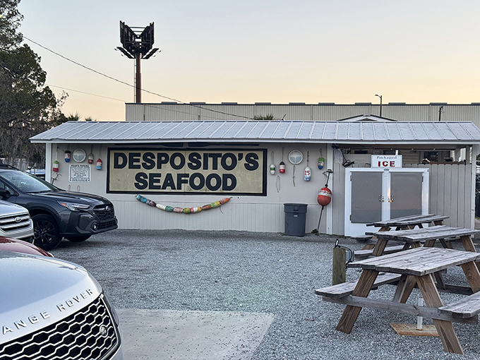 Classic coastal architecture where family traditions and fresh catches create unforgettable dining experiences together.