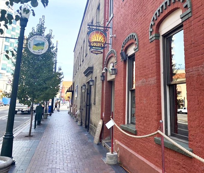 That golden sunrise logo isn't just decoration - it's a promise that your morning is about to get brighter.