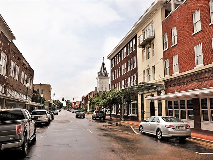 Tree-lined streets frame downtown districts where local businesses thrive because neighbors choose to shop local.